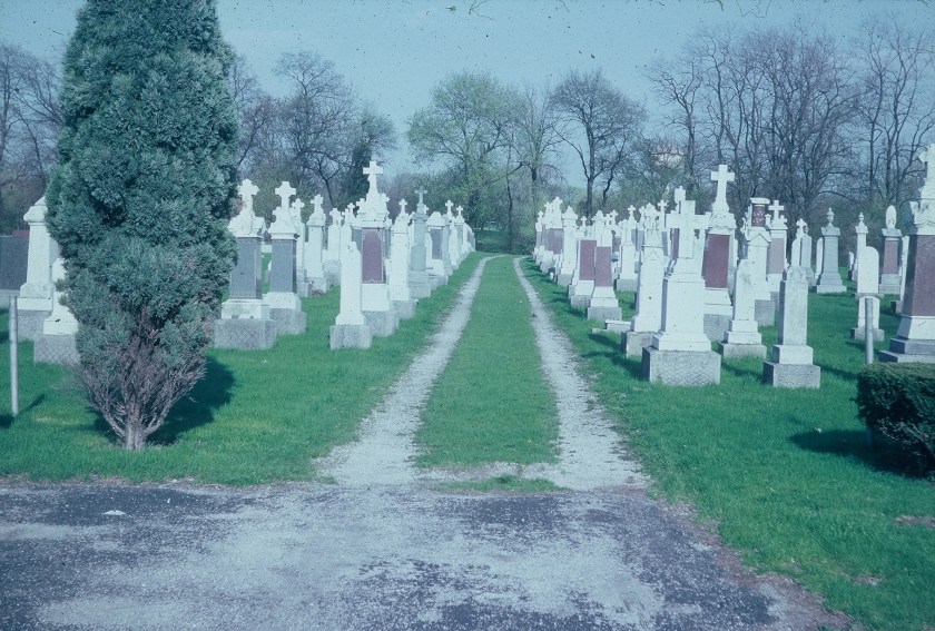Celebrate Lutheran Cemeteries – Chicago and Cook County Cemeteries