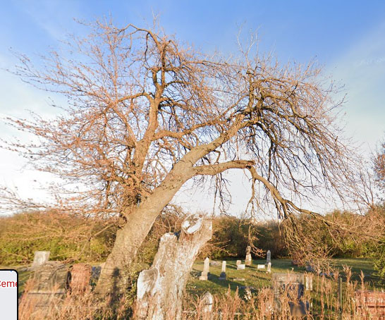 13 year old Laura Elfring-buried in the middle of O’Hare Airport ...