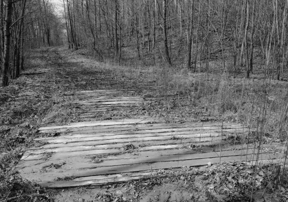 Chicago and Cook County Cemeteries – A Historical and Contemporary Resource